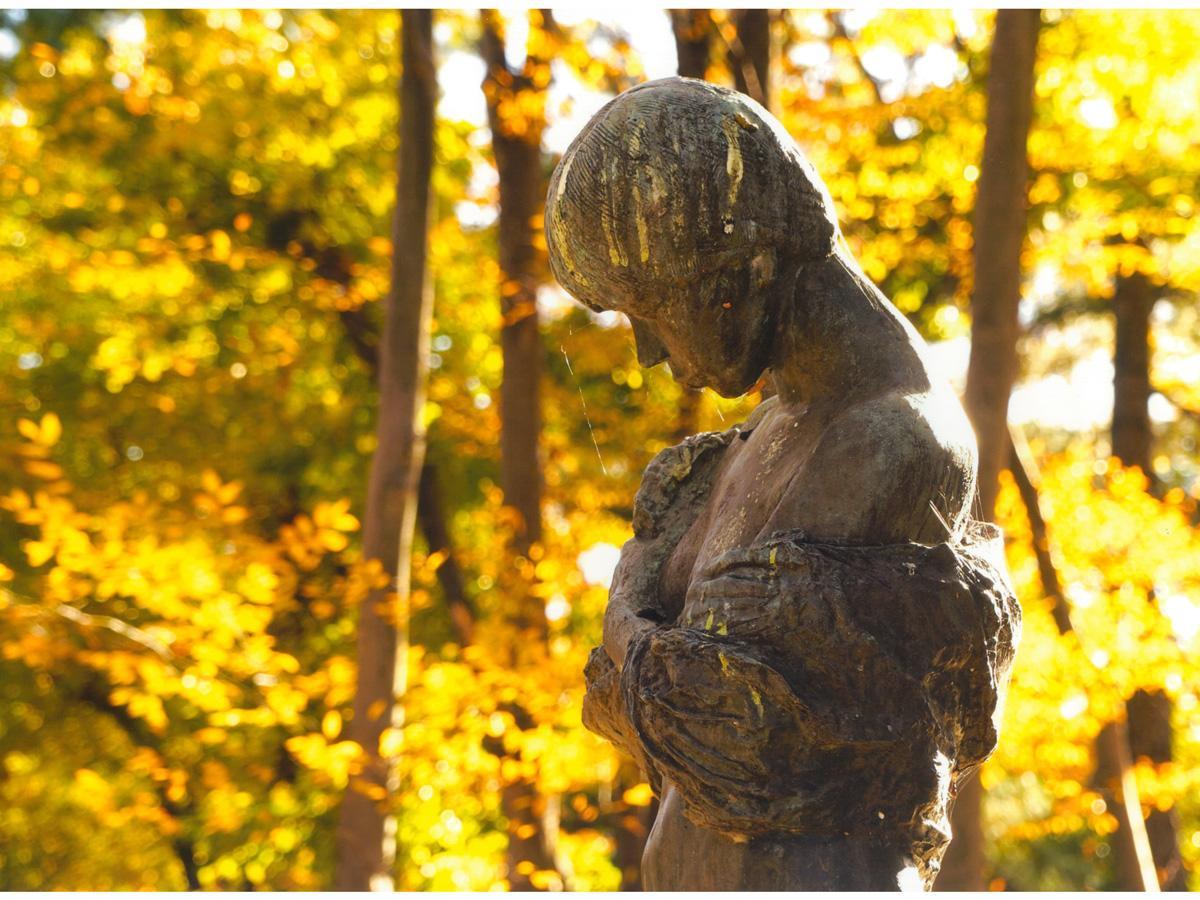 Nagoya Autumn Leaves Special Feature | Feature | Visit Nagoya-Nagoya ...
