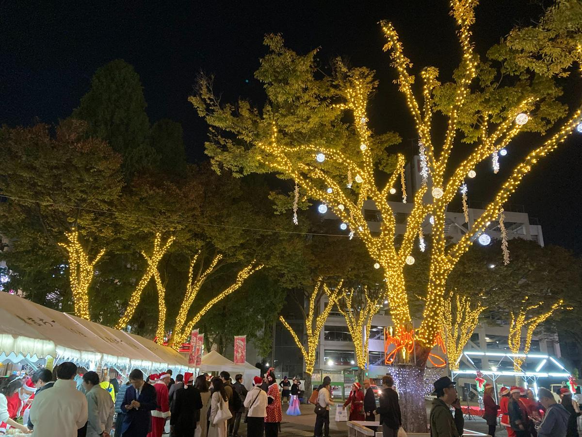 Nagoya Light Displays Special Feature 2025–2026 | Feature | Visit ...