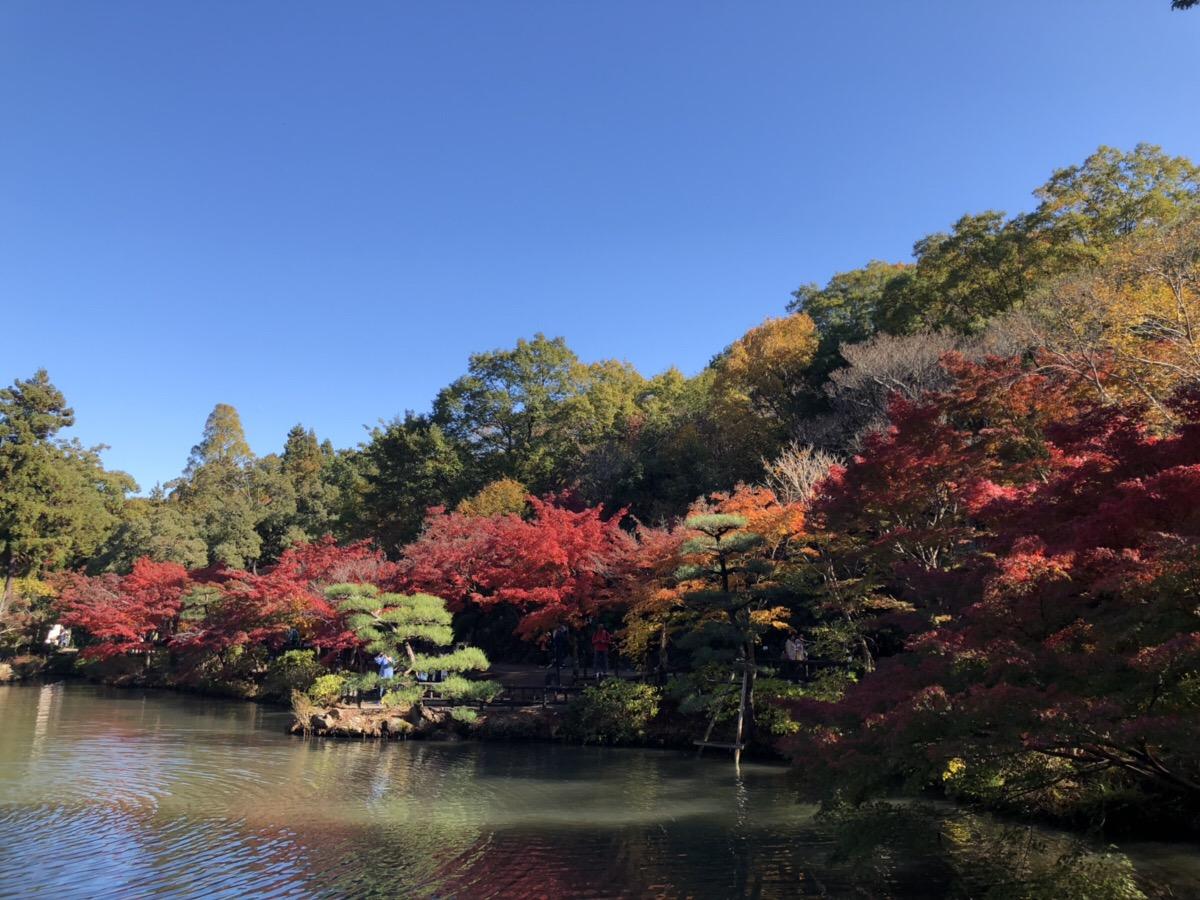 Nagoya Autumn Leaves Special Feature | Feature | Visit Nagoya-Nagoya ...