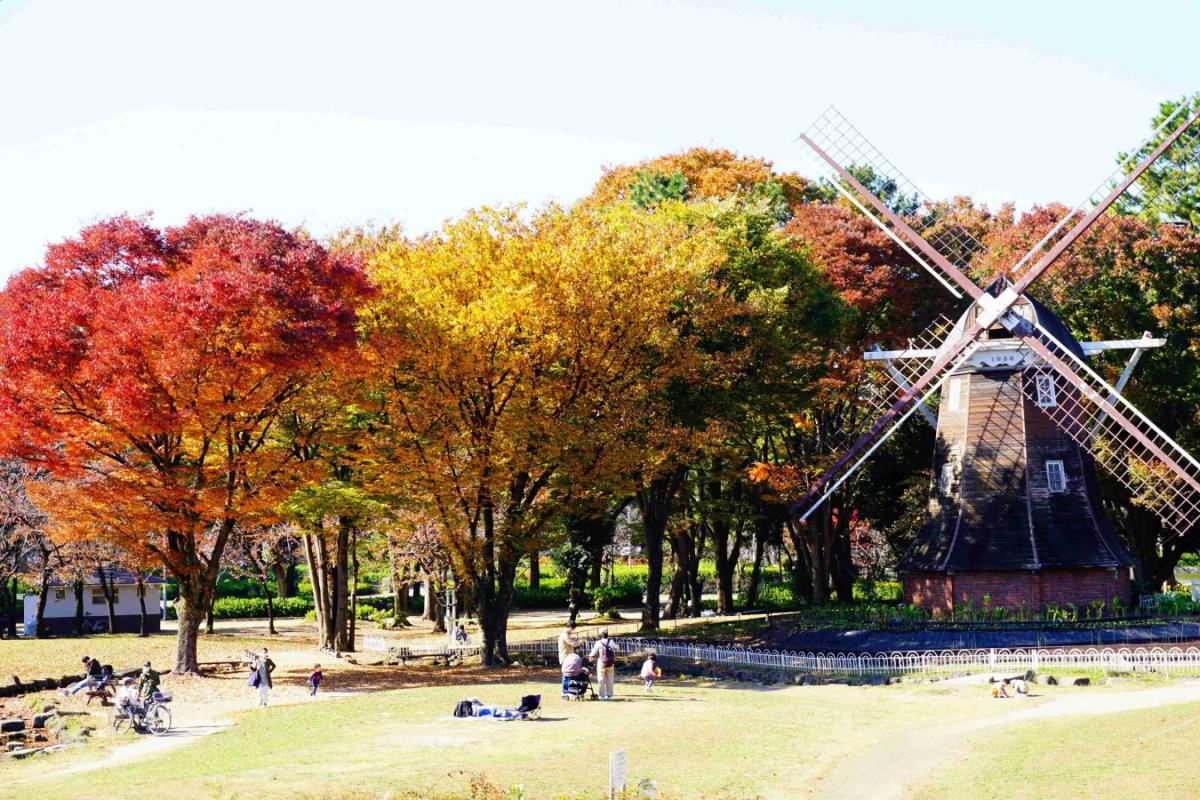Nagoya Autumn Leaves special feature | Feature | Visit Nagoya-Nagoya ...