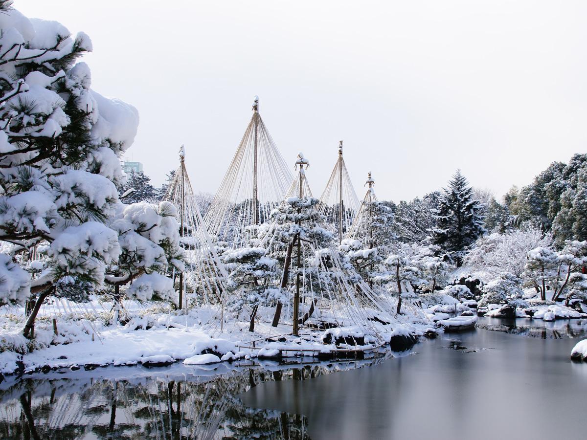 Photogenic Nagoya | Feature | Visit Nagoya-Nagoya City Guide