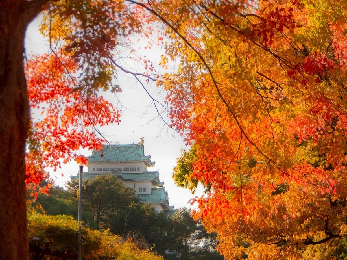 Nagoya Autumn Leaves Special Feature | Feature | Visit Nagoya-Nagoya ...