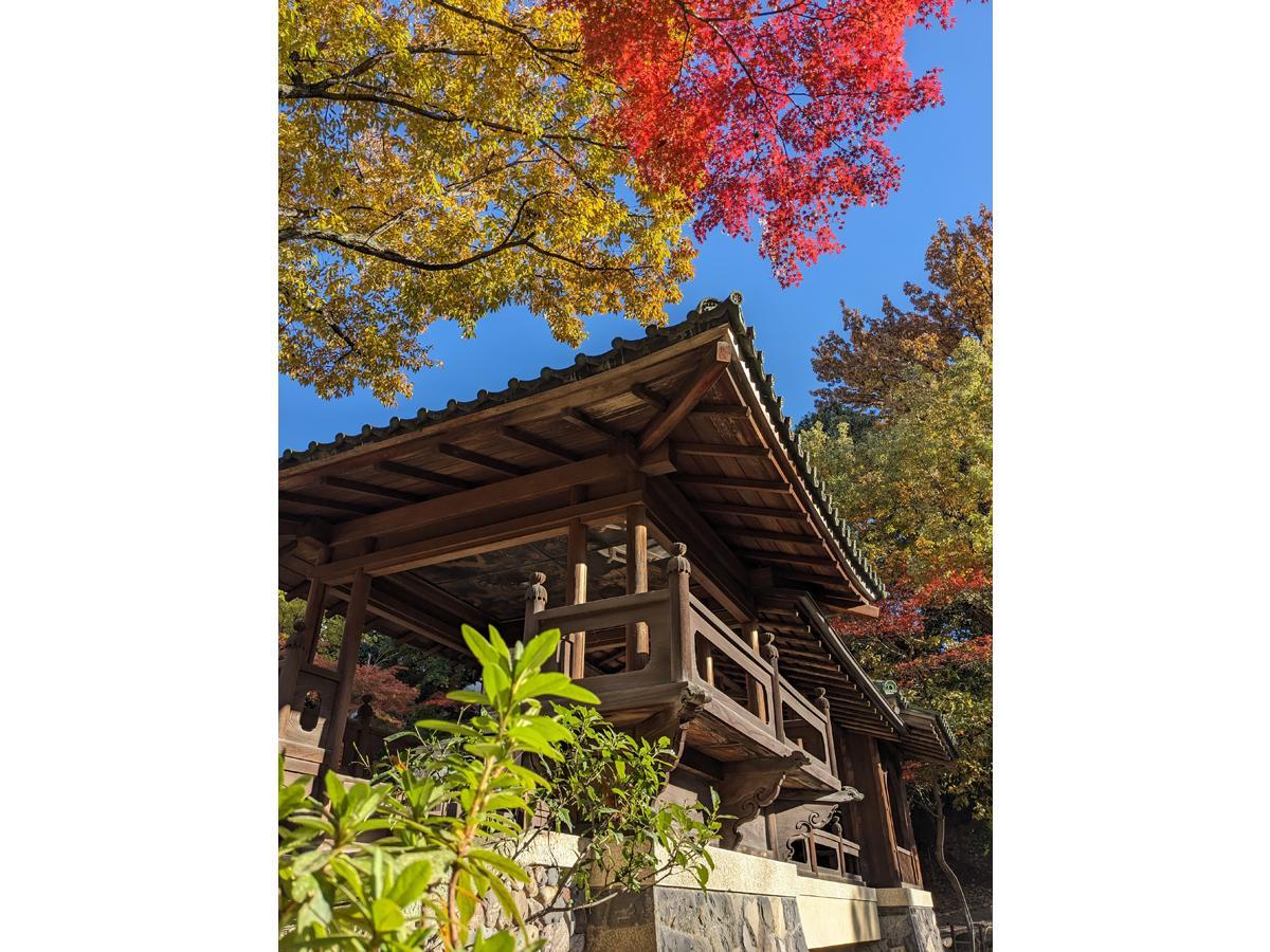 Nagoya Autumn Leaves special feature | Feature | Visit Nagoya-Nagoya ...