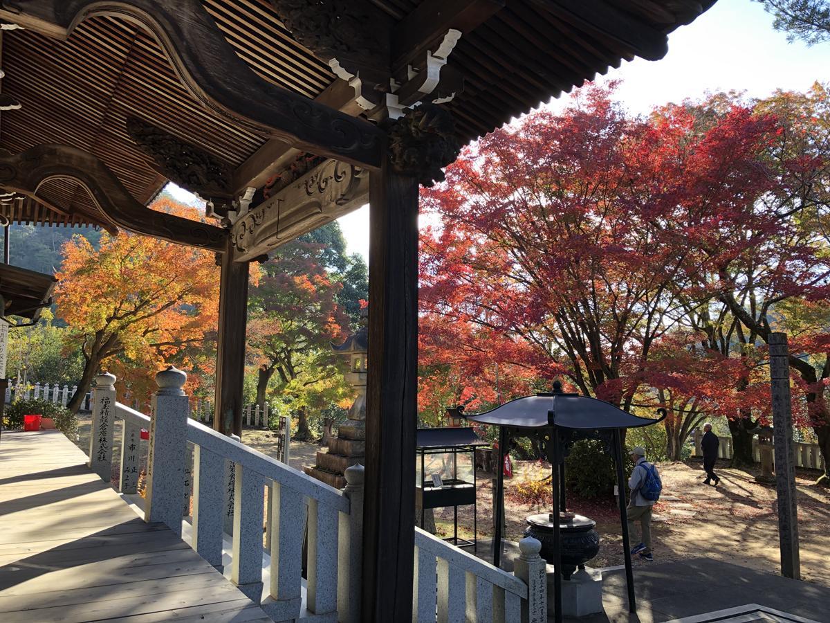 Nagoya Autumn Leaves Special Feature | Feature | Visit Nagoya-Nagoya ...