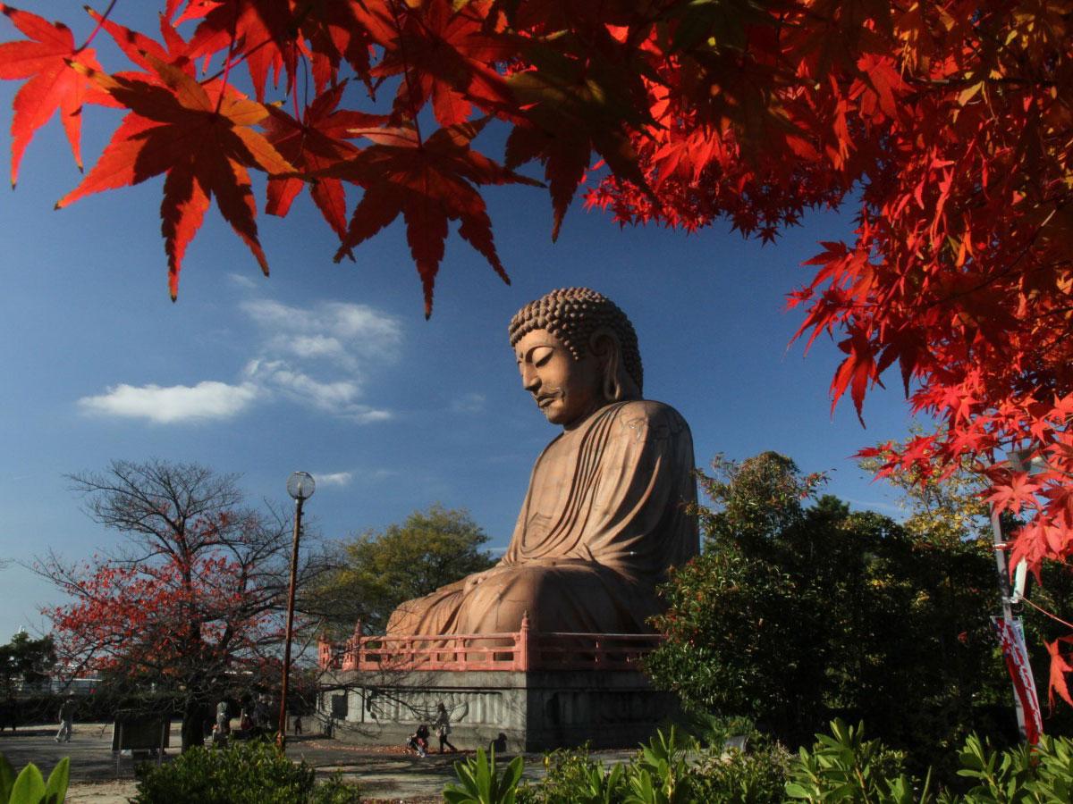 Nagoya Autumn Leaves Special Feature | Feature | Visit Nagoya-Nagoya ...