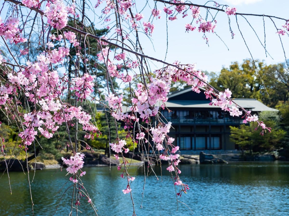 Photogenic Nagoya | Feature | Visit Nagoya-Nagoya City Guide