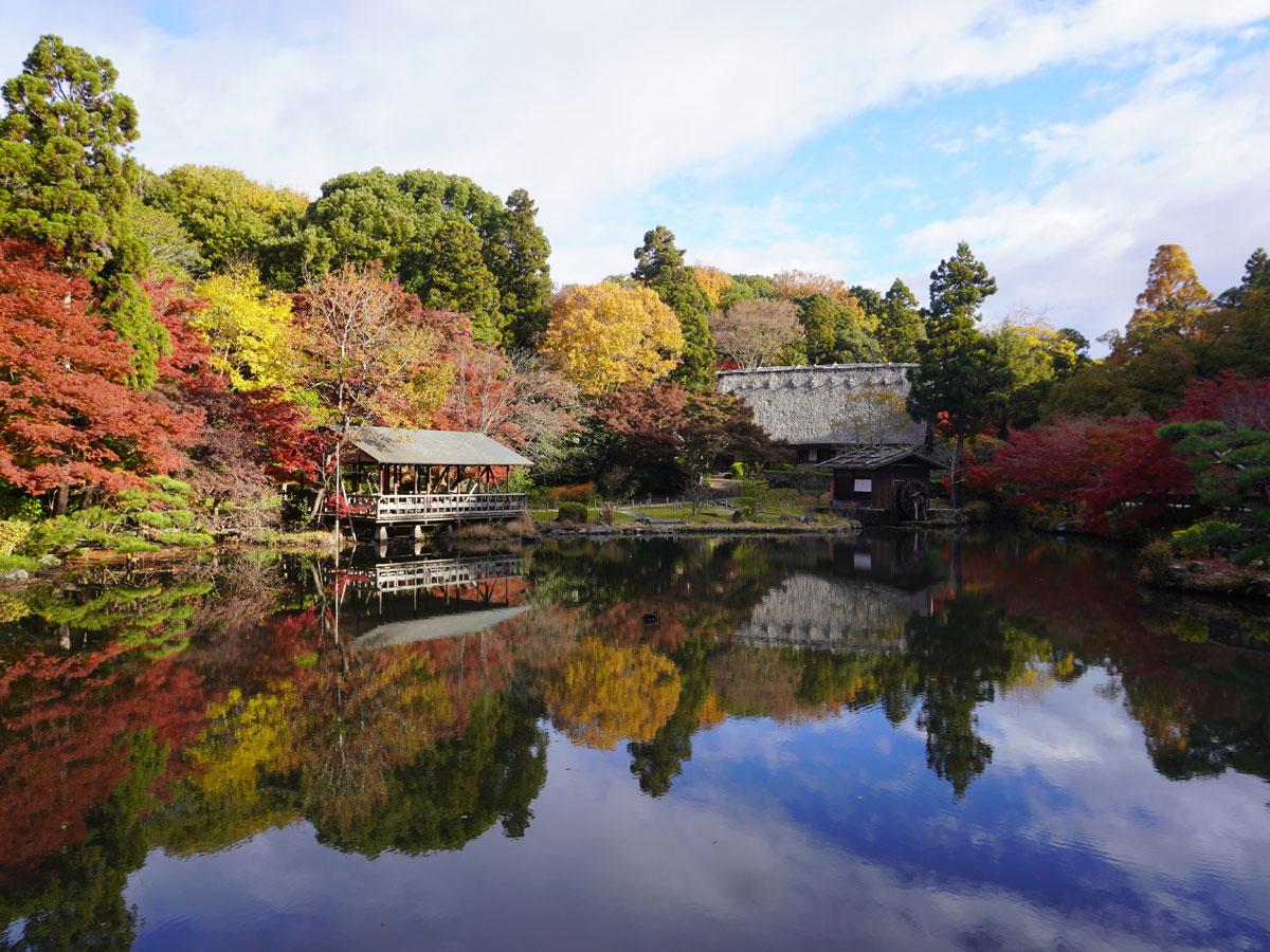Nagoya Autumn Leaves Special Feature | Feature | Visit Nagoya-Nagoya ...