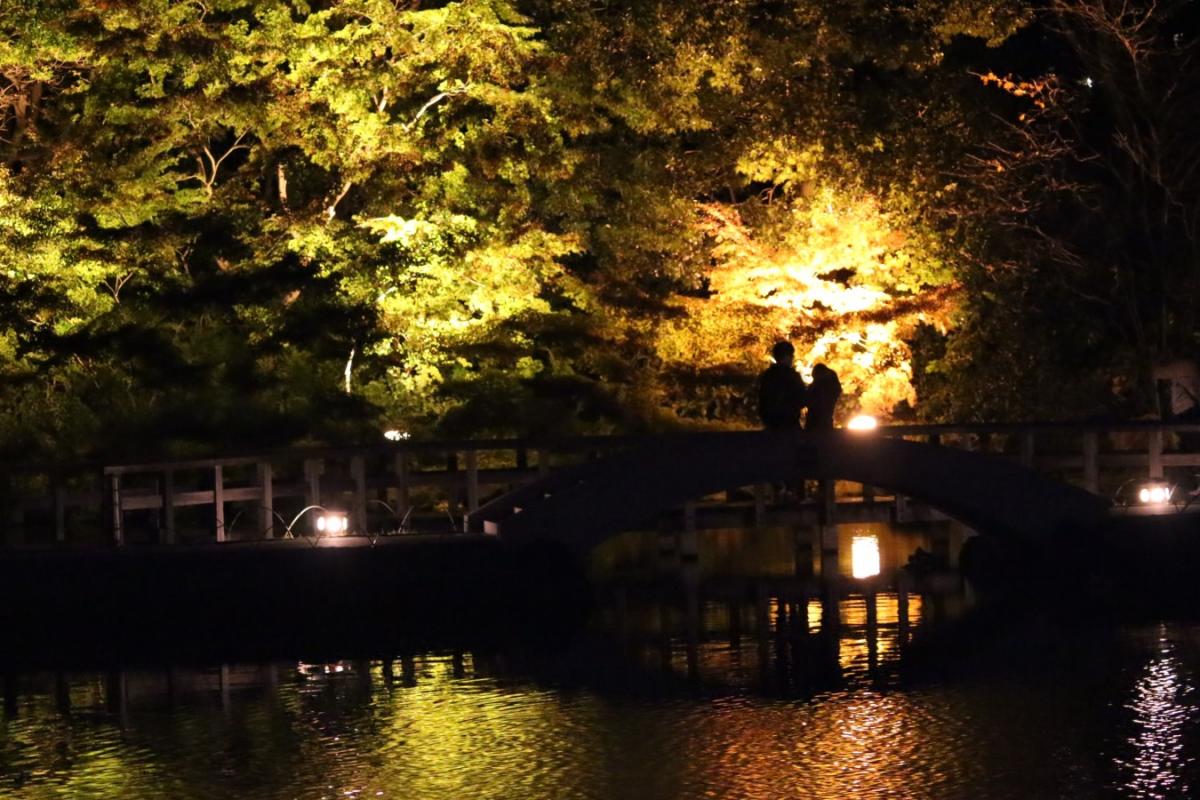 Nagoya Autumn Leaves special feature | Feature | Visit Nagoya-Nagoya ...