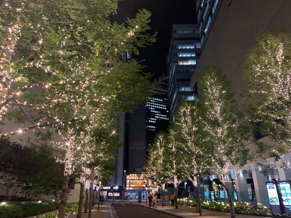 Nagoya Illumination Special Feature 2024–2025 | Feature | Visit Nagoya ...