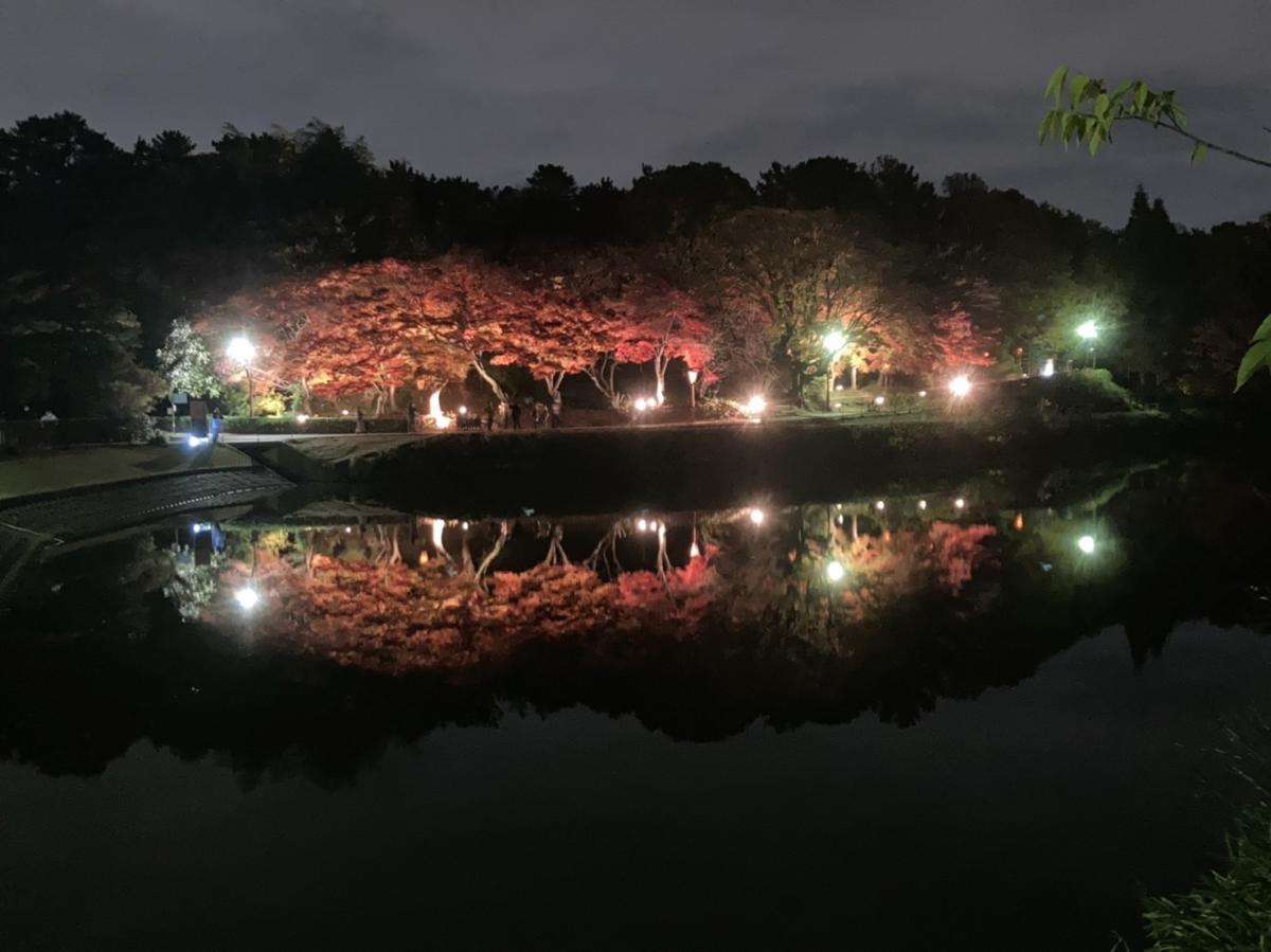 Nagoya Autumn Leaves special feature | Feature | Visit Nagoya-Nagoya ...