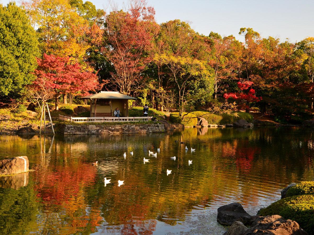 Nagoya Autumn Leaves special feature | Feature | Visit Nagoya-Nagoya ...