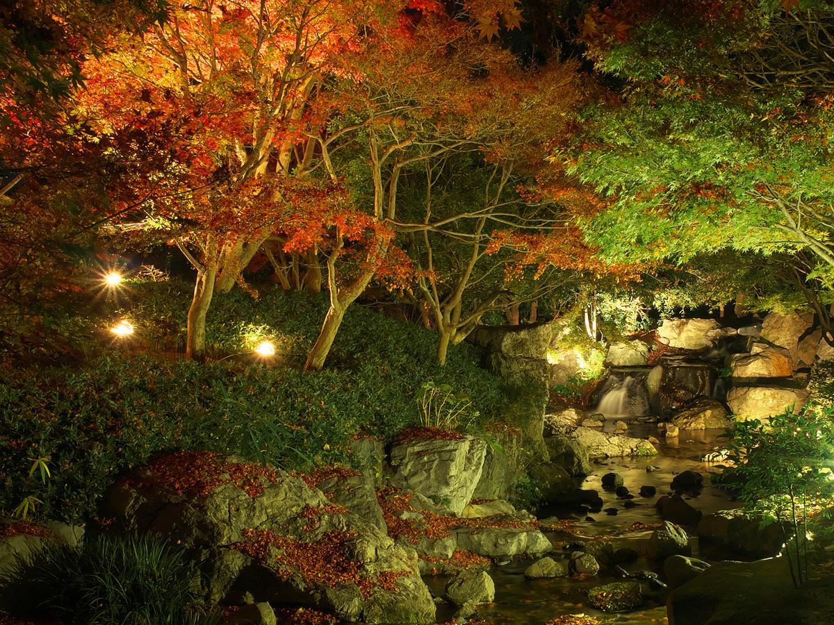 Nagoya Autumn Leaves special feature | Feature | Visit Nagoya-Nagoya ...