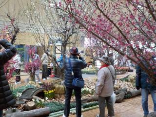 Meijo Park | Visit Nagoya-Nagoya City Guide