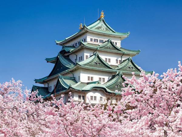Nagoya Day Tours | Visit Nagoya-Nagoya City Guide